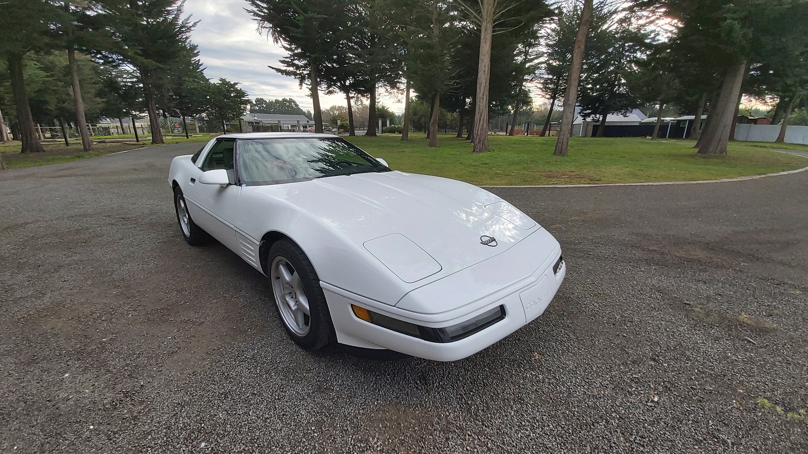1993 Chevrolet Corvette LT1 C4 | Waimak Classic Cars