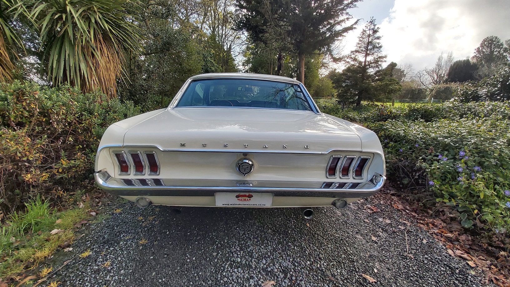 1967 Ford Mustang 289 Notchback V8 | Waimak Classic Cars