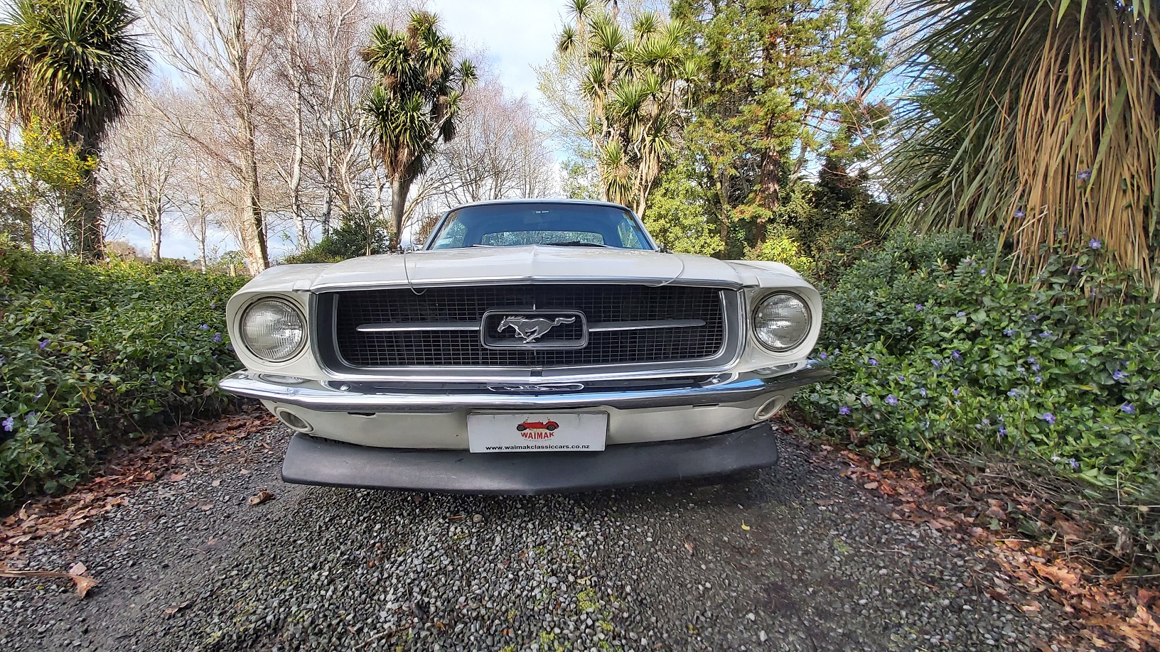 1967 Ford Mustang 289 Notchback V8 | Waimak Classic Cars