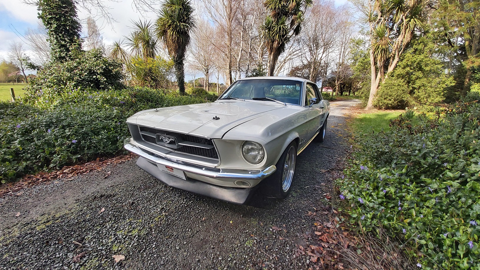 1967 Ford Mustang 289 Notchback V8 | Waimak Classic Cars