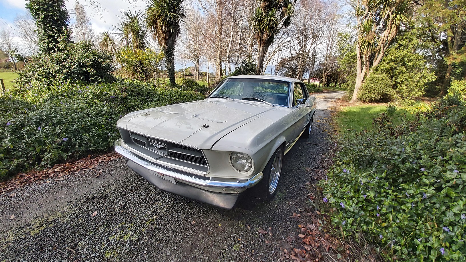 1967 Ford Mustang 289 Notchback V8 | Waimak Classic Cars