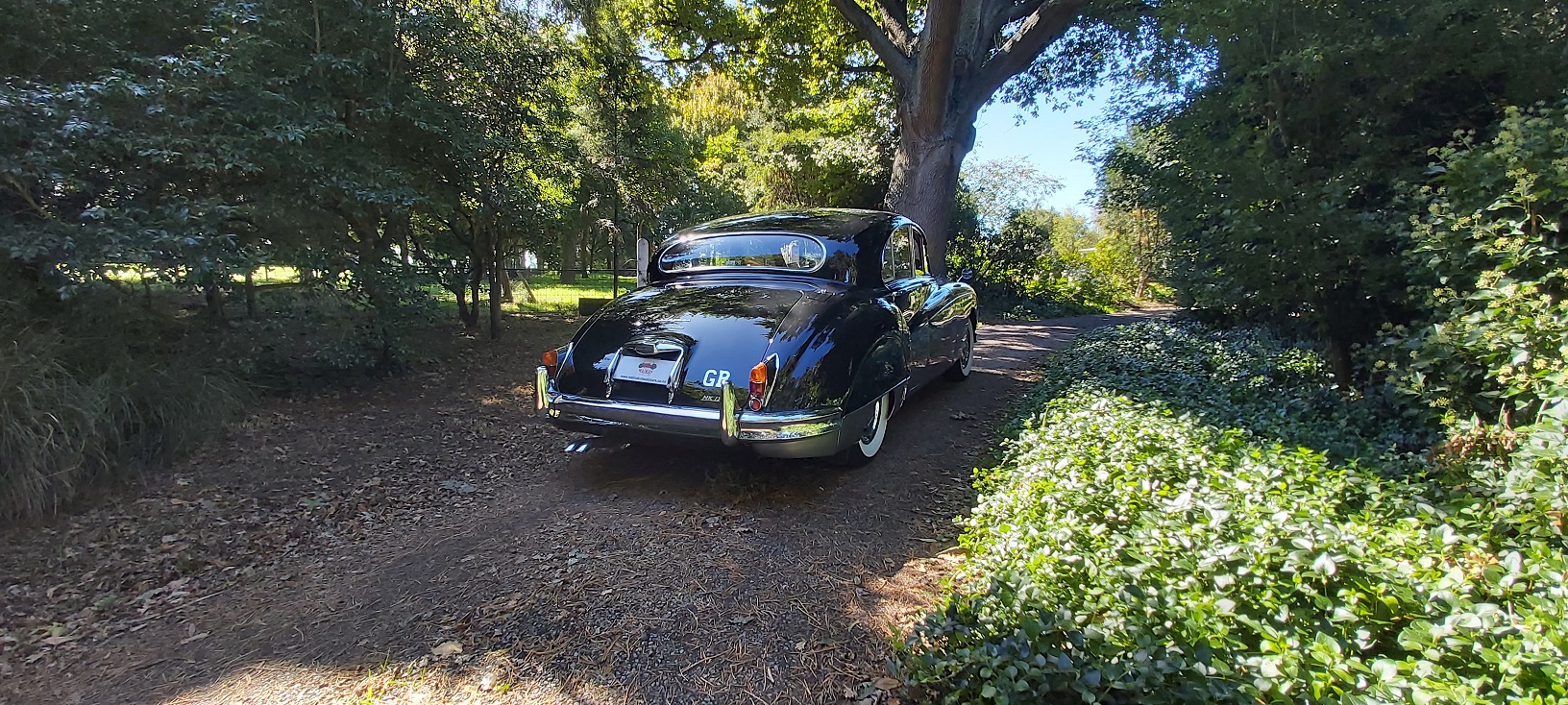 1960 Jaguar MK9 - Waimak Classic Cars