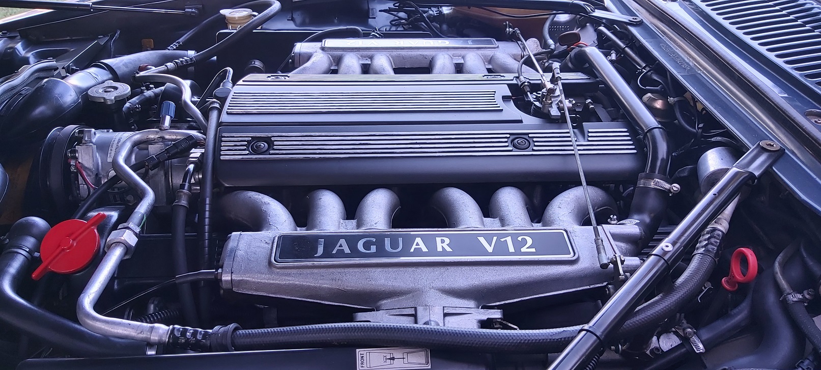 1994 Jaguar XJS 6.0ltr V12 - Waimak Classic Cars