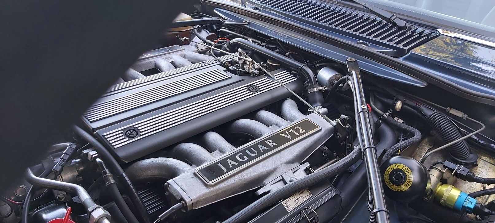 1994 Jaguar XJS 6.0ltr V12 - Waimak Classic Cars
